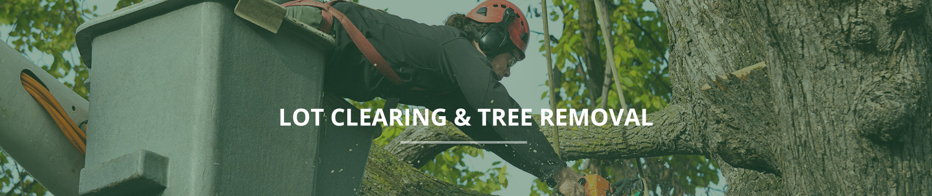 Lot Clearing & Tree Removal | Tree Risk Assessment & Removal Plan ...